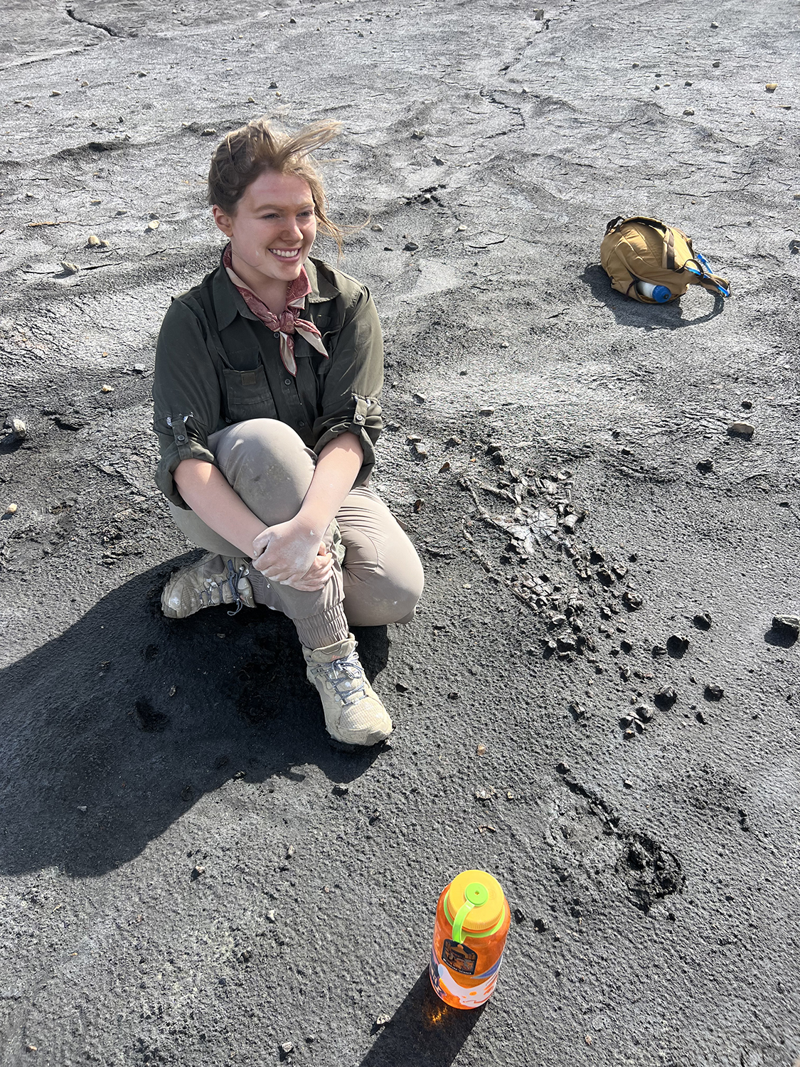 College of Charleston Student Bags Colossal Sea Lizard Fossil